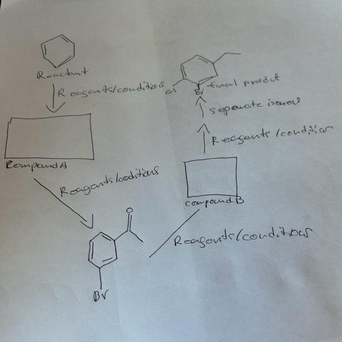 Solved R-actant IR casents/condition Br tinal proat sepanate | Chegg.com