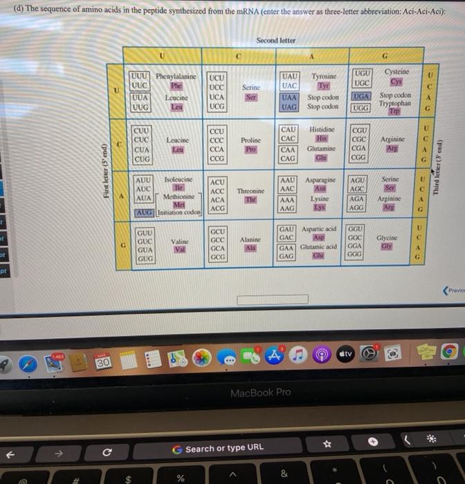 Solved Determine each of the following items using the hnRNA | Chegg.com