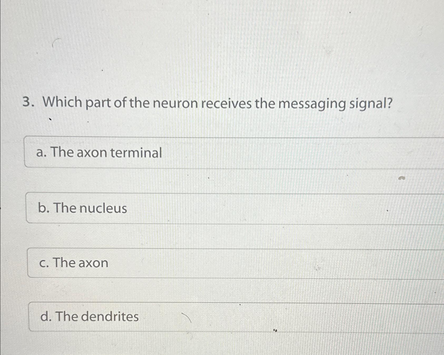 Solved Which part of the neuron receives the messaging | Chegg.com