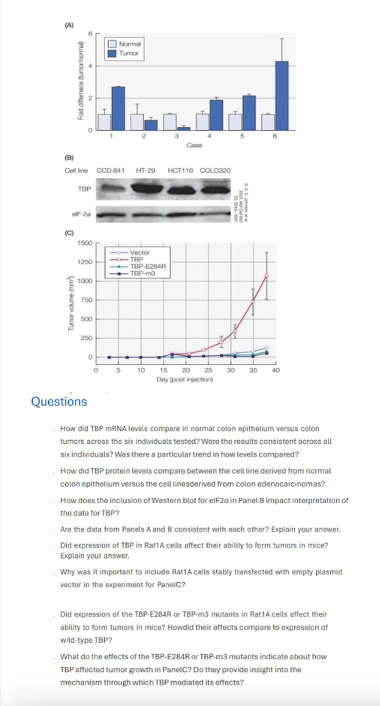 Solved (B)(C)QuestionsHow did TBP mRNA levels compare in | Chegg.com