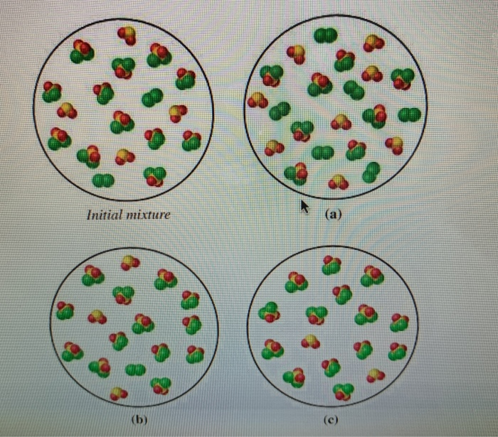 Solved Initial mixture (a) (b) (c) The picture above on | Chegg.com