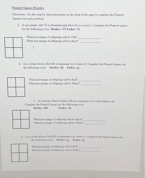 Solved Section: Practicing Punnett Squares A Punnett Square | Chegg.com