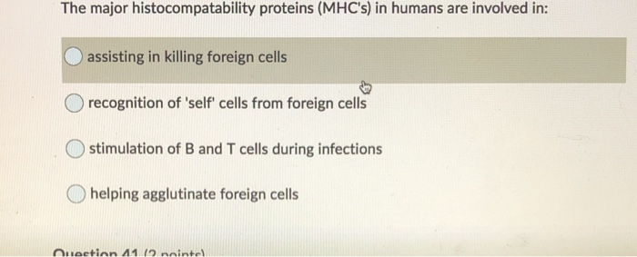 Solved The major histocompatability proteins (MHC's) in | Chegg.com