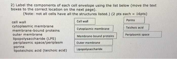 Solved 2) Label the components of each cell envelope using | Chegg.com