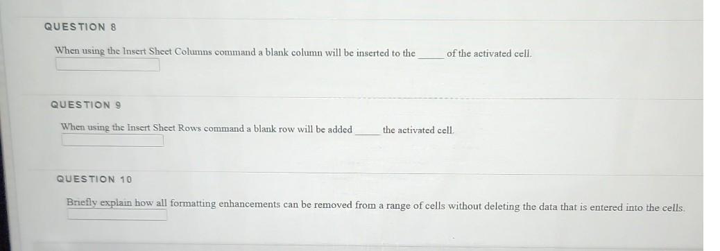 Solved When usine the lnsert Sheet Columns command a blank | Chegg.com