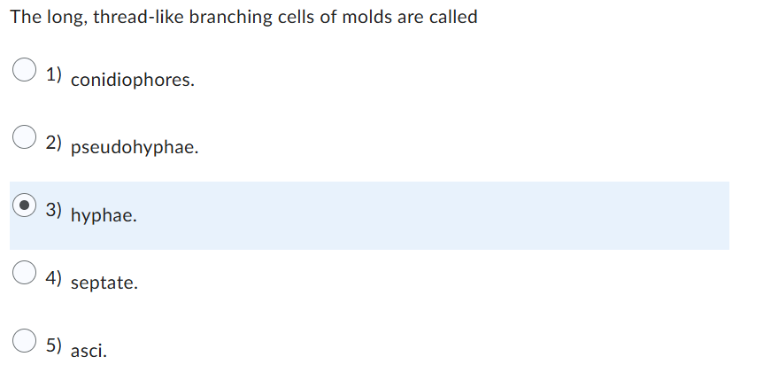 Solved The long, thread-like branching cells of molds are | Chegg.com