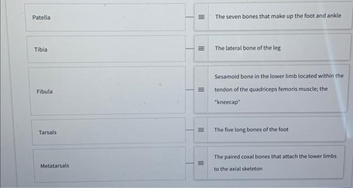 Solved Appendicular Skeleton: Lower Limb and Pelvic Girdle | Chegg.com