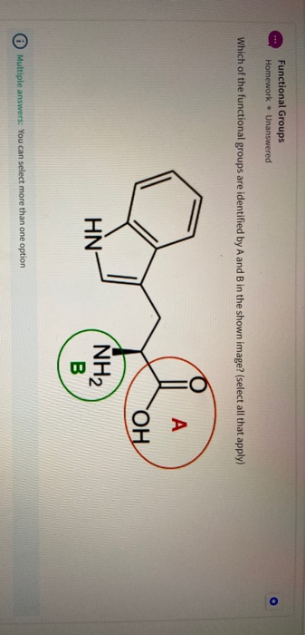 Solved Functional Groups Homework . Unanswered Which of the | Chegg.com