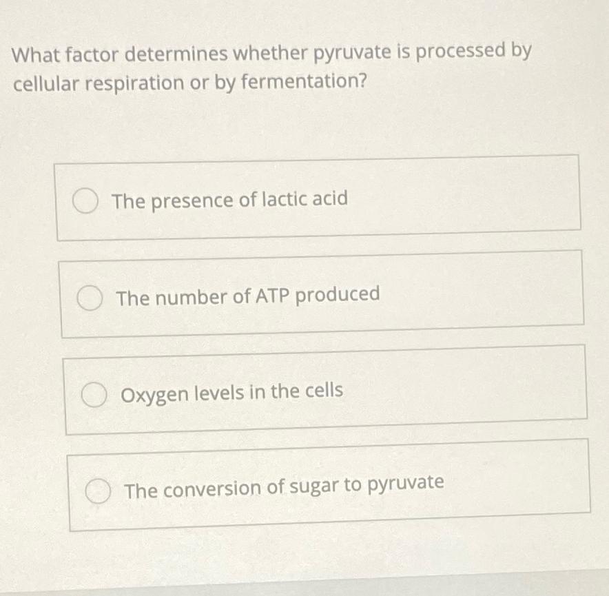 Solved What factor determines whether pyruvate is processed | Chegg.com