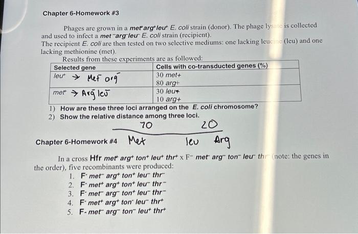Solved Chapter 6-Homework \#3 Phages are grown in a | Chegg.com