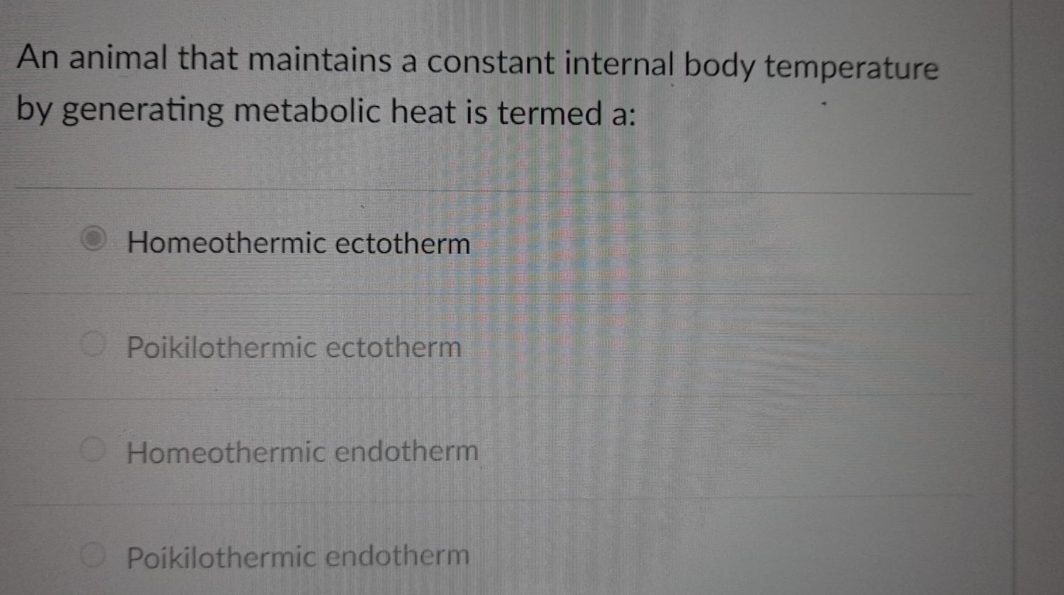 Solved An animal that maintains a constant internal body | Chegg.com