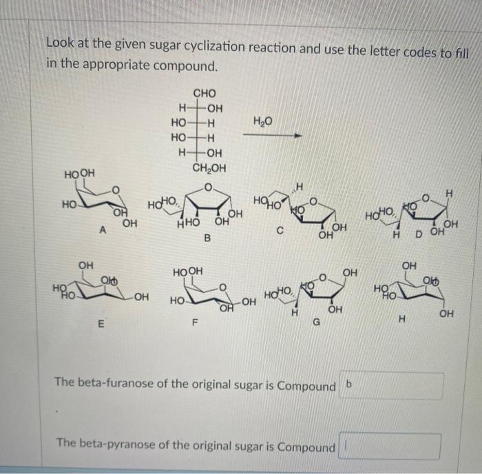 Solved Look at the given sugar cyclization reaction and use | Chegg.com