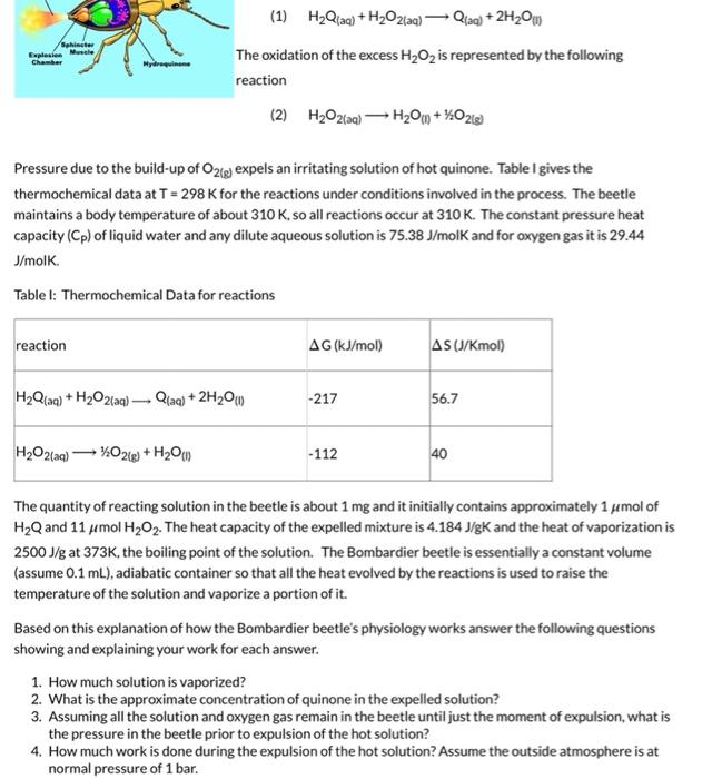 (1) H2Q(aq)+H2O2(aq) Q(aq)+2H2O(i) The oxidation of | Chegg.com