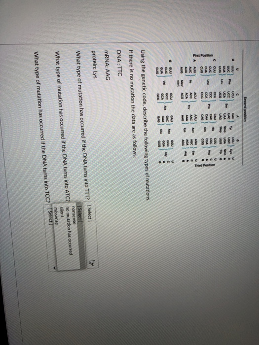 Solved Using the provided genetic code. Translate the | Chegg.com