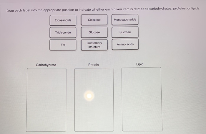 Solved Drag each label into the appropriate position to | Chegg.com