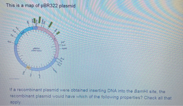 Solved This is a map of PBR322 plasmid BRE MI If a | Chegg.com