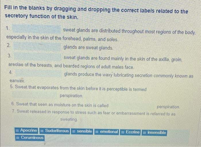 Solved Drag and drop the labels to categorize them to the | Chegg.com