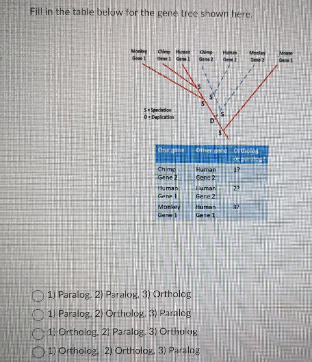 Solved Fill in the table below for the gene tree shown here. | Chegg.com