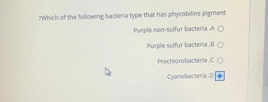 Solved ?Which of the following bacteria type that has | Chegg.com