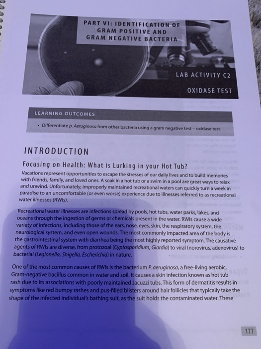 Solved UU PART VI: IDENTIFICATION OF GRAM POSITIVE AND GRAM | Chegg.com