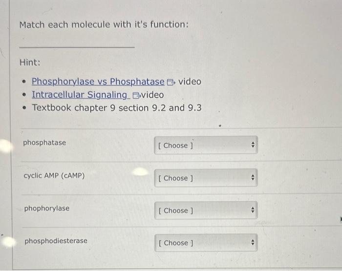 Solved Match each molecule with it's function: Hint: - | Chegg.com