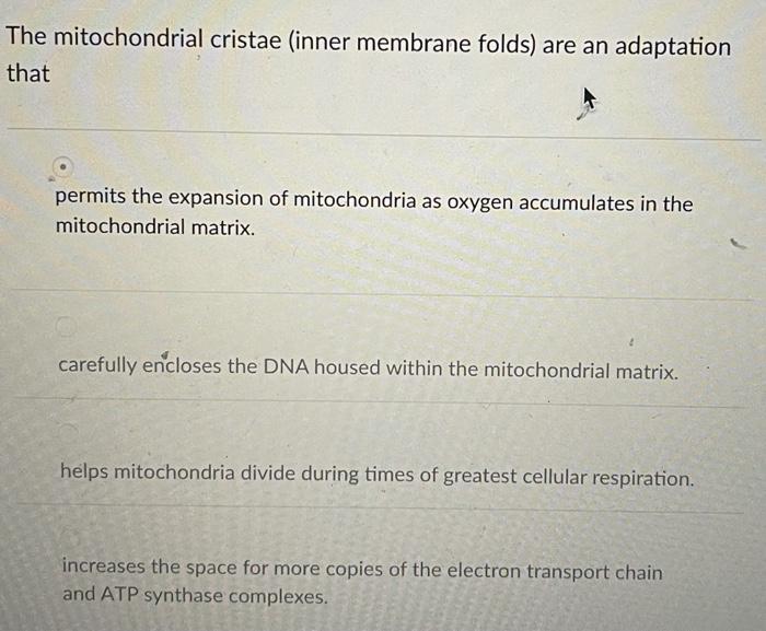 Solved The mitochondrial cristae (inner membrane folds) are | Chegg.com