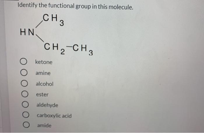 Solved Identify the functional group in this molecule. CH3 | Chegg.com