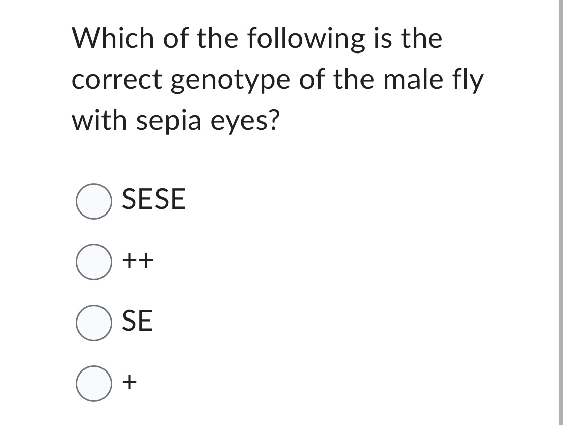 Solved A.In this lab exercise, it is acceptable to click the | Chegg.com