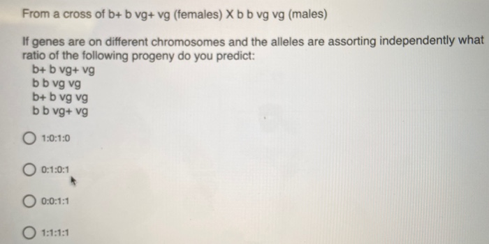 Solved From a cross of b+ b vg+ vg (females) X b b vg vg | Chegg.com