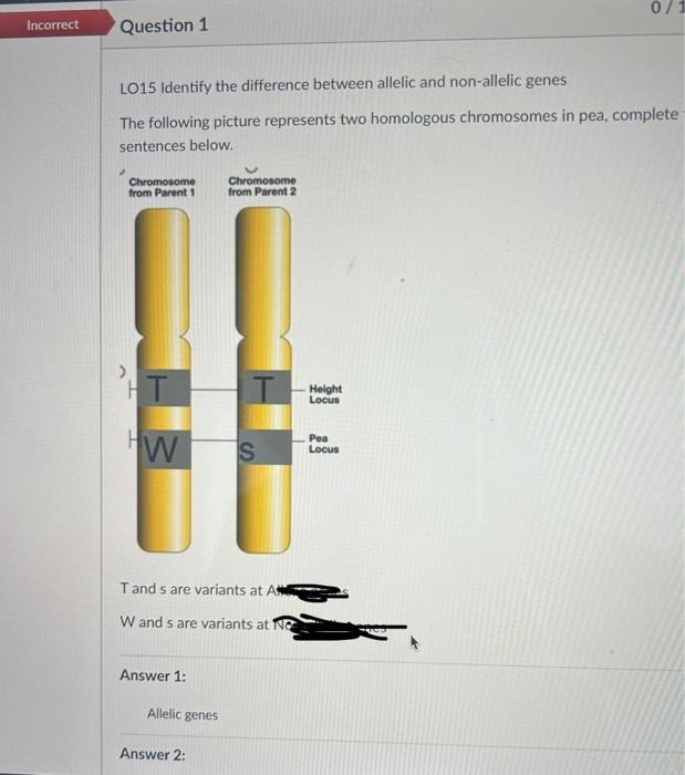 Solved please solve these. For the first question i put 'T | Chegg.com