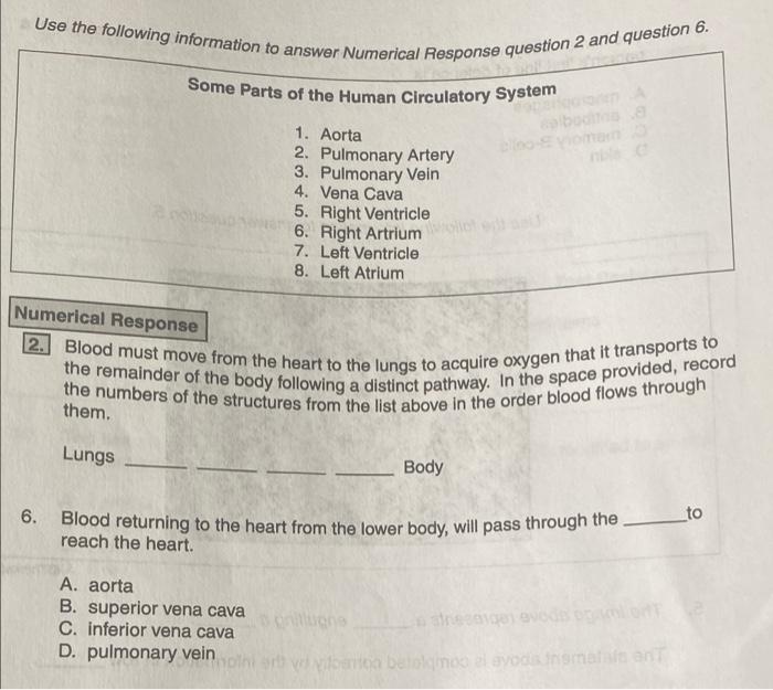 Solved Use the following information to answer Numerical | Chegg.com