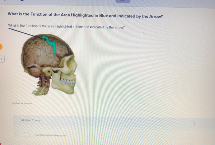 Solved: What Is The Function Of The Area Highlighted In Bl... | Chegg.com