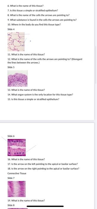 Solved Tissues/Histology Lab Make sure you have completed | Chegg.com
