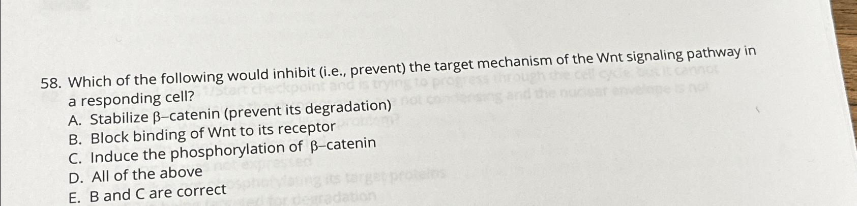 Solved Which of the following would inhibit (i.e., ﻿prevent) | Chegg.com