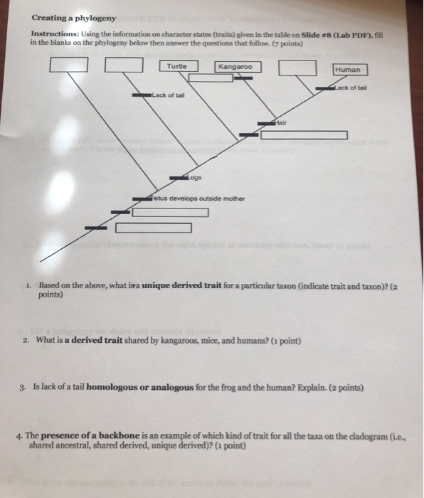 Creating a phylogeny Instructions: Using the | Chegg.com