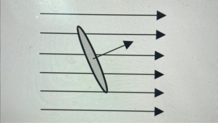 Solved A wire loop of area 1.27m^2 is initially at an angle | Chegg.com