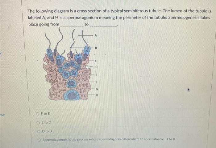 Solved The following diagram is a cross section of a typical | Chegg.com
