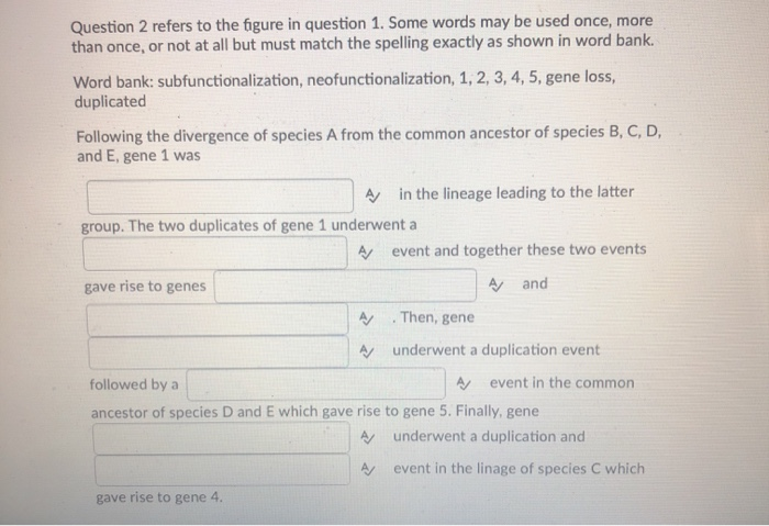 Solved 1A 2B 3B | |-c 2C4C 3C 8 | 8 | | | V VI 2D -D 3D SD | Chegg.com