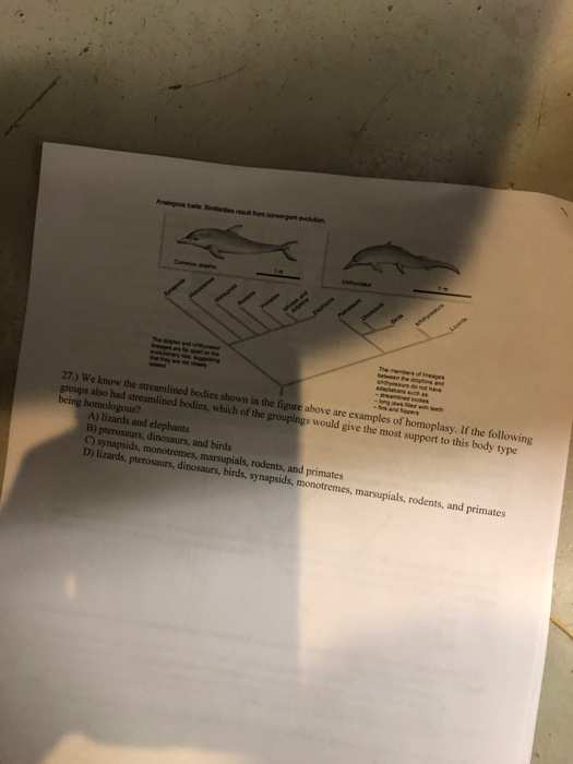 Solved co 27.) We know the streamlined bodies shown in the | Chegg.com