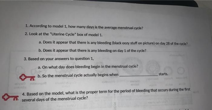 Solved The Menstrual Cycle POGIL Model 1: The Menstrual | Chegg.com
