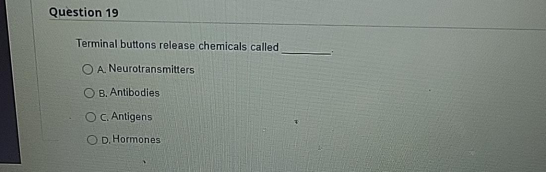 Solved Question 19Terminal buttons release chemicals | Chegg.com