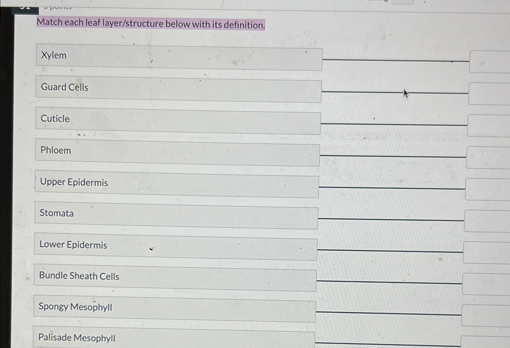 Solved Match each leaf layer/structure below with its | Chegg.com