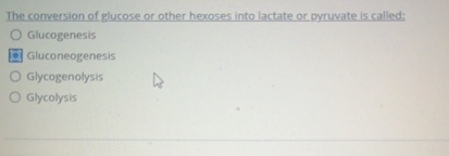 Solved The conversion of glucose or other hexoses into | Chegg.com