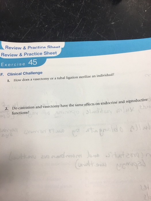 Solved Review & Practice Sheet Review & Practice Sheet | Chegg.com