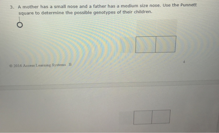Solved 3. A mother has a small nose and a father has a | Chegg.com
