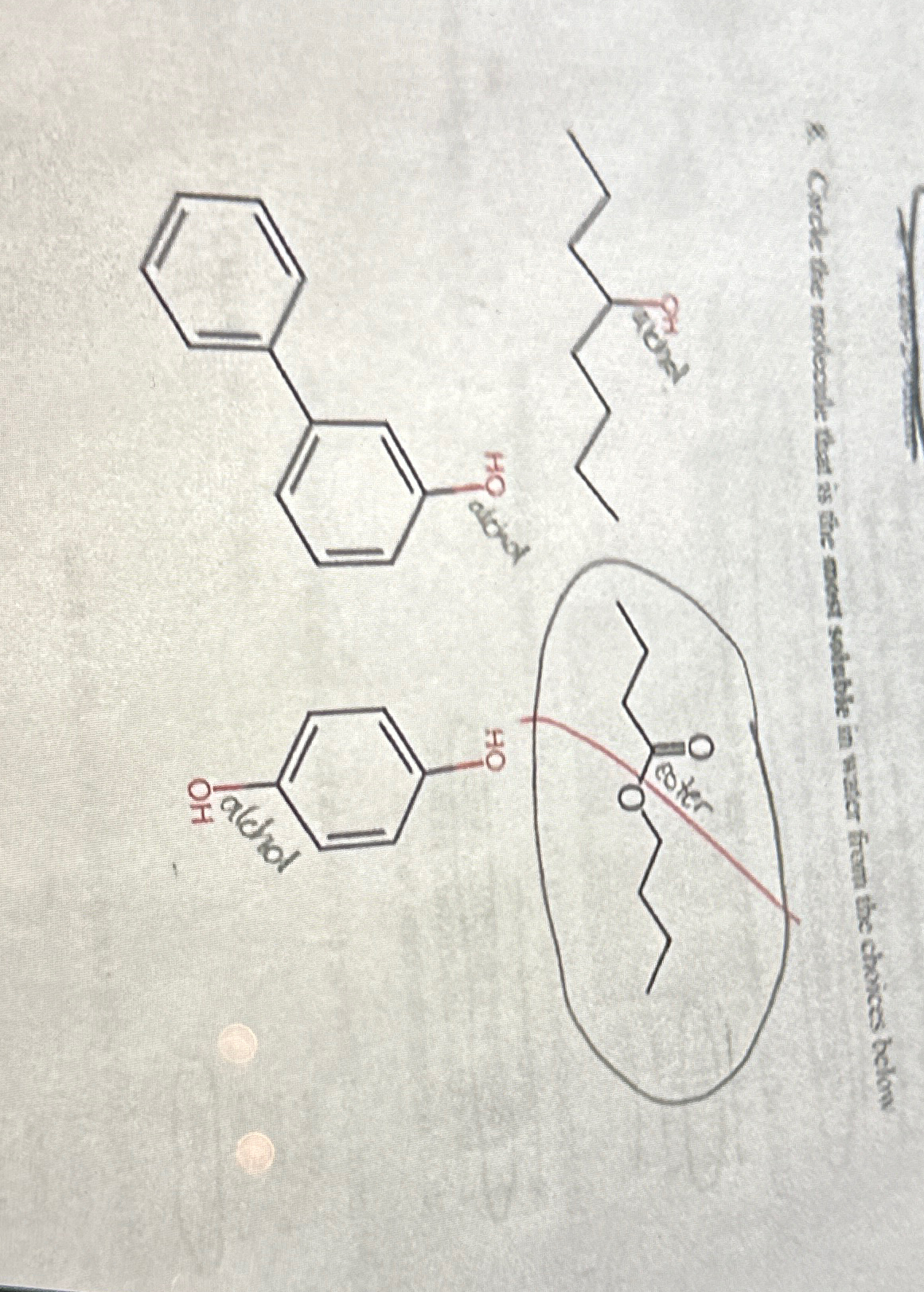 Solved Circle the molocule thet is the most soluble in water | Chegg.com
