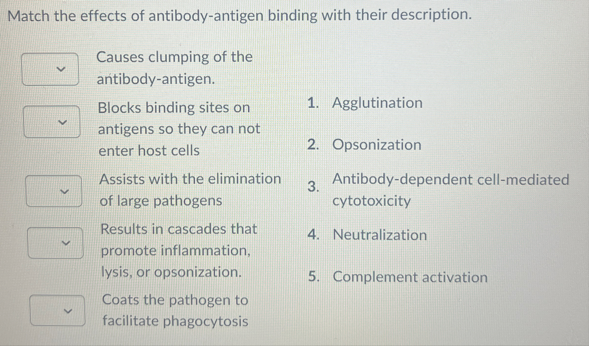 Solved Match the effects of antibody-antigen binding with | Chegg.com