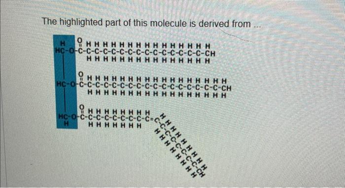 Solved The highlighted part of this molecule is derived from | Chegg.com
