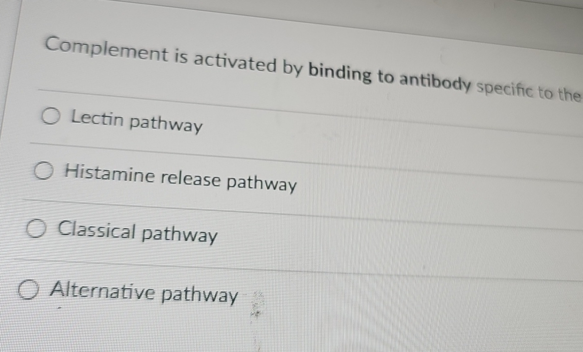 Solved Complement is activated by binding to antibody | Chegg.com