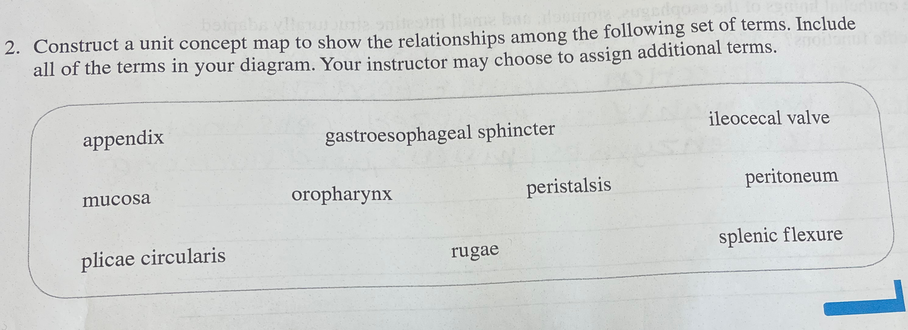 Solved Construct a unit concept map to show the | Chegg.com